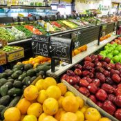 About Us | Circus Fruits | Brooklyns #1 Produce Supermarket Wholesale ...